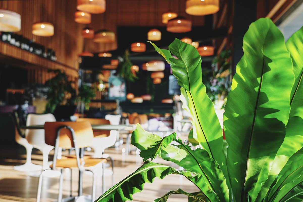 basso in Basel mieten für Events | eventlokale.ch